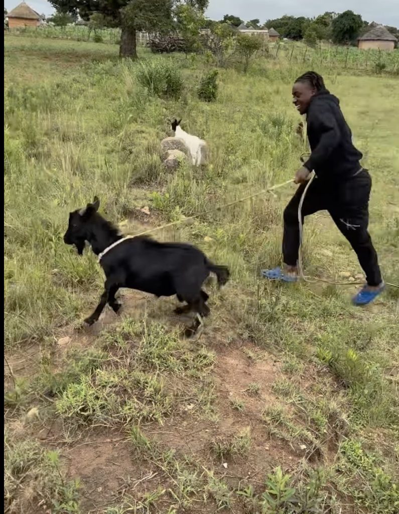 'ManLikeTats', From TikTok Sensation to Zimbabwe’s Beloved Content ...