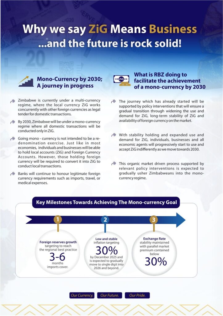 Zimbabwe Charts Path to Mono-Currency by 2030 with ZiG at the Centre ...