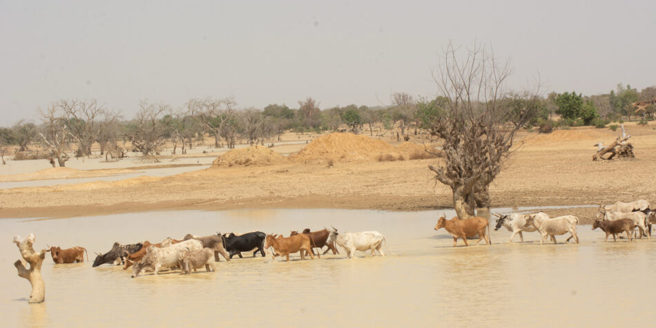 The Climate Action Window of the African Development Fund grants over ...